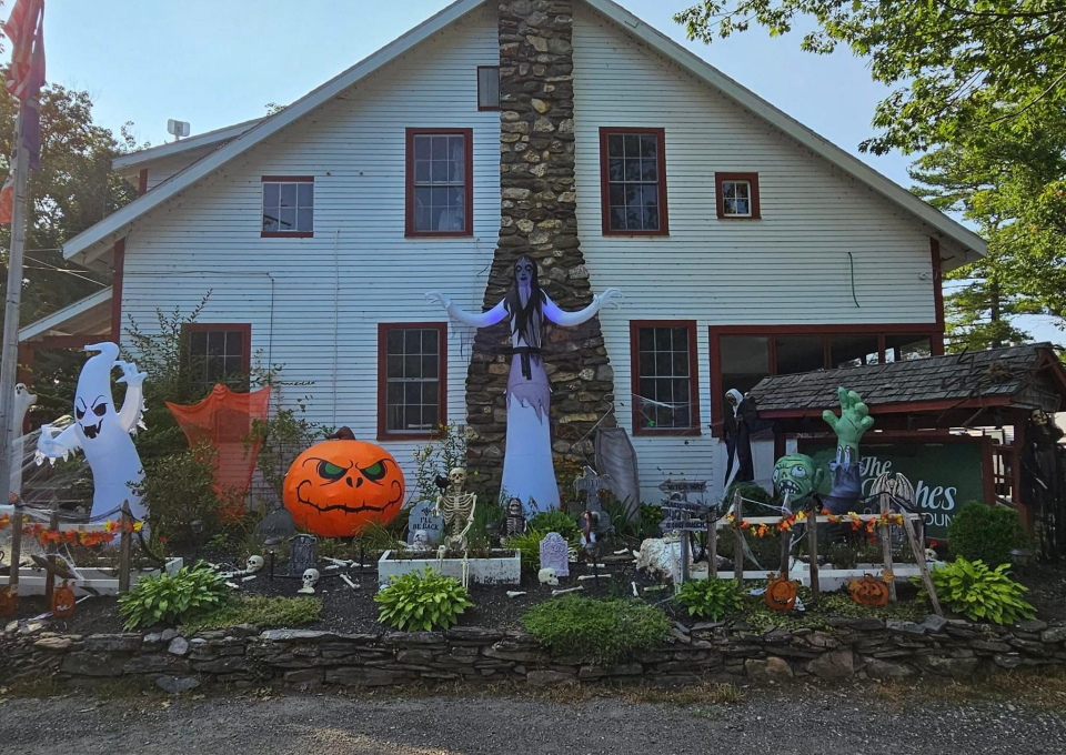 Camping Activities | Birches Lakeside Campground